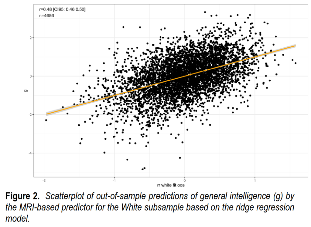 Modern neuroscience confirms race differences in brain size and ...