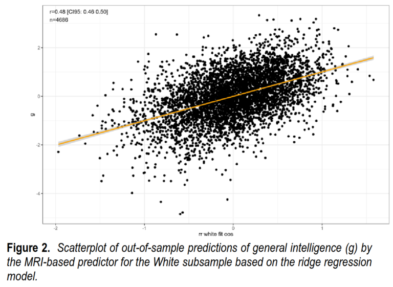 Modern neuroscience confirms race differences in brain size and ...