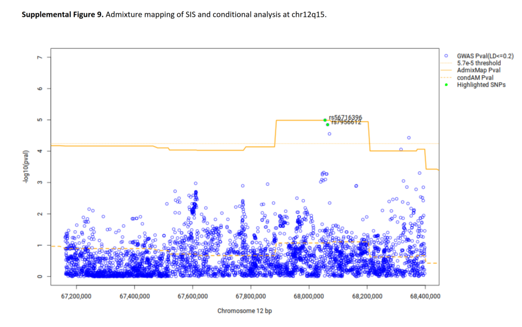 The first admixture mapping study for intelligence – Clear Language ...