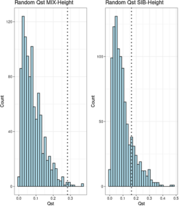 Worldwide height variation explained – Clear Language, Clear Mind